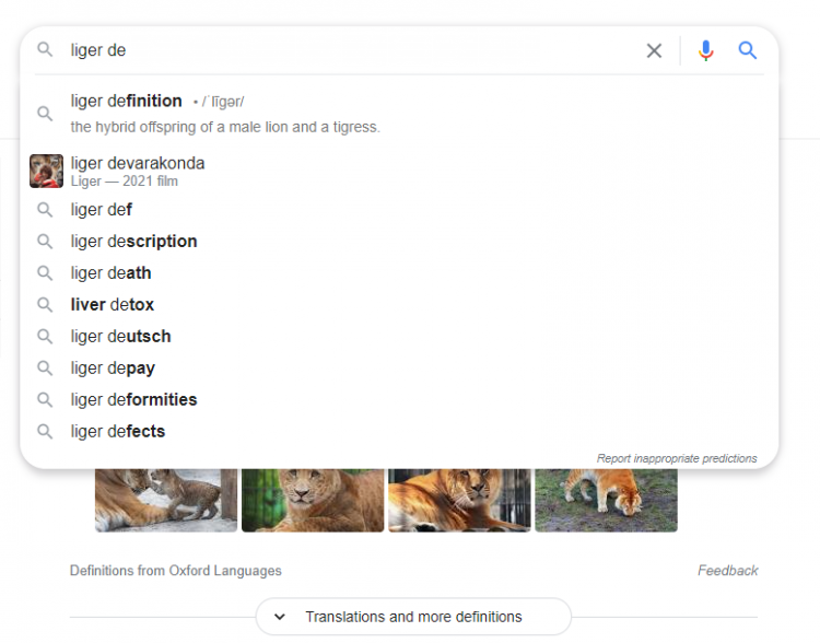 Understanding The 3 Types of Search Queries for Your Website