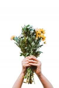 FocoClipping-The Best Background Eraser Alternative to Remove.bg?