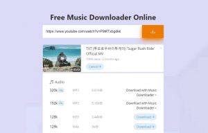 AceThinker Online Music Downloader: All You Need to Know About It
